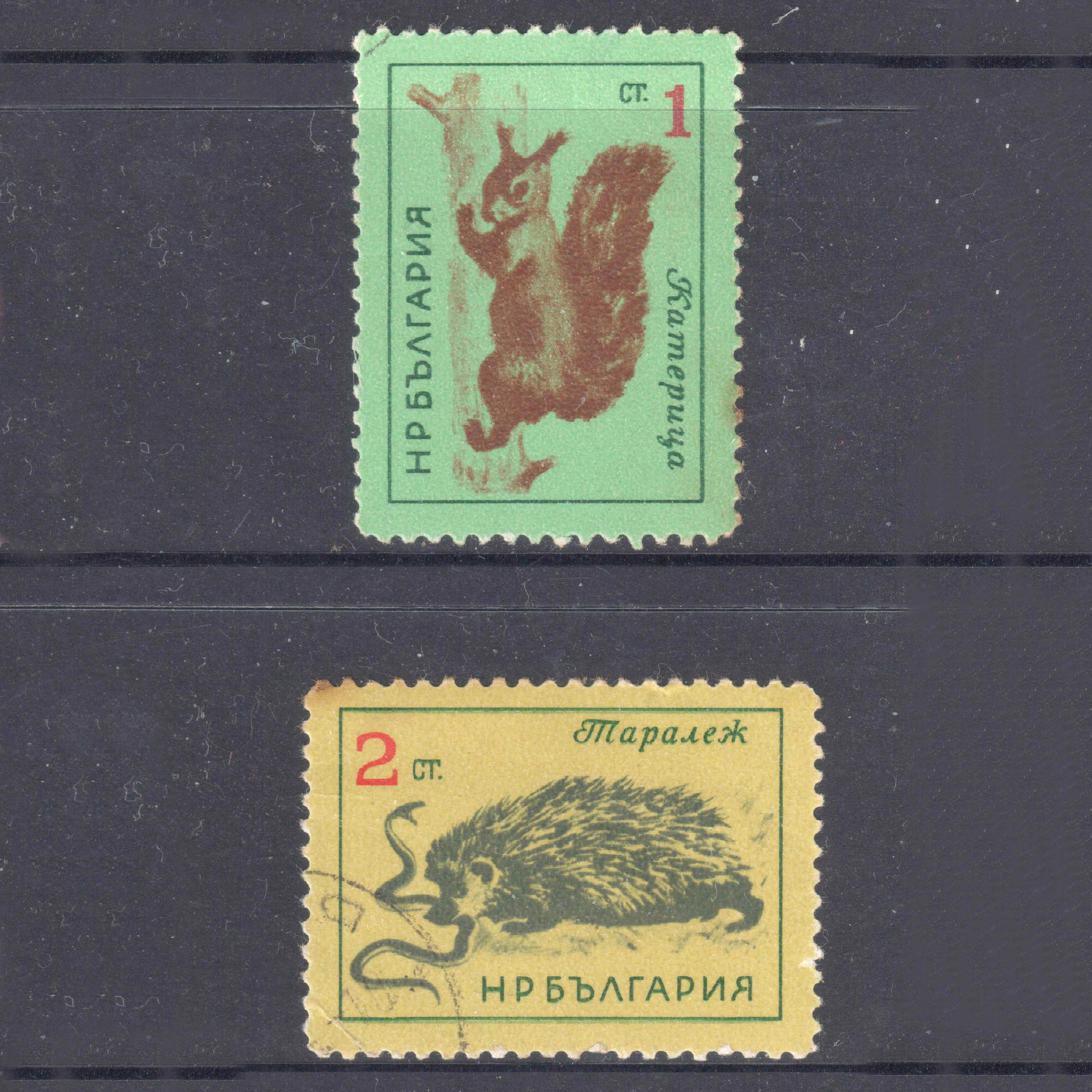 Bulgaria 1963 Animals Stamp Group - Perf:11.5 – Gumnut Antiques
