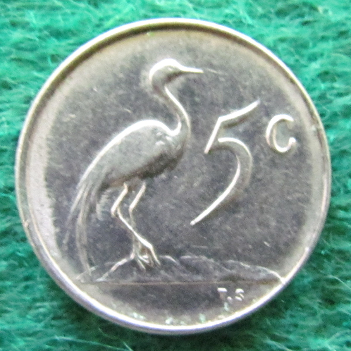 South Africa 1965 5 Cent Coin - Circulated – Gumnut Antiques